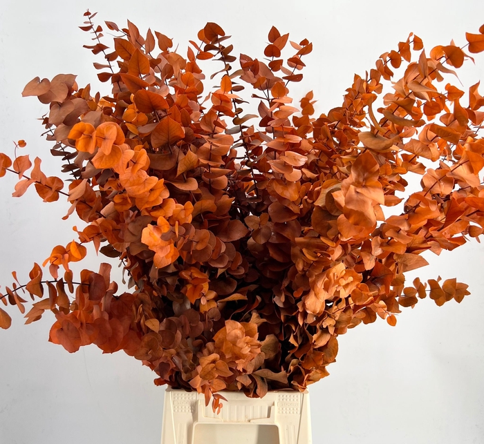A&Z Flowers Webshop