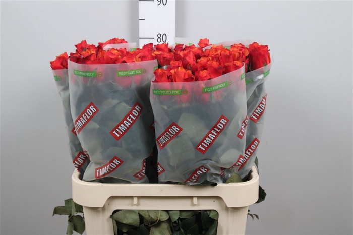 van der Lem Bloemen Webshop