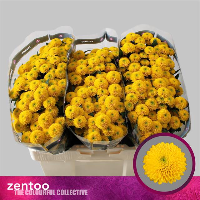 Skowasch Blumengroßhandel Webshop