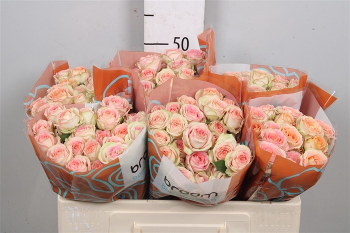 Fleurilink Webshop