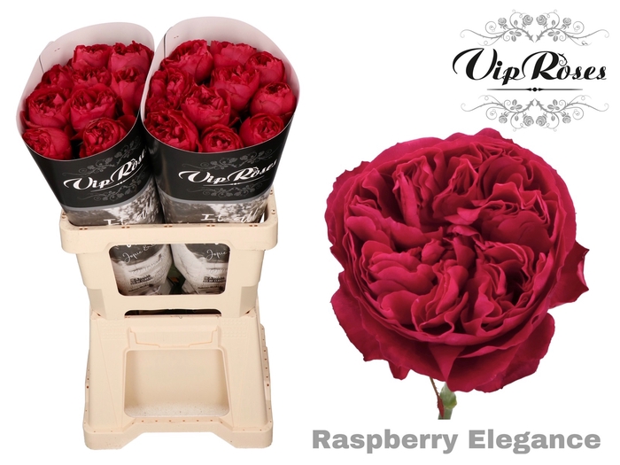 Vip Roses Webshop