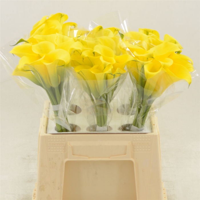 A&Z Flowers Webshop