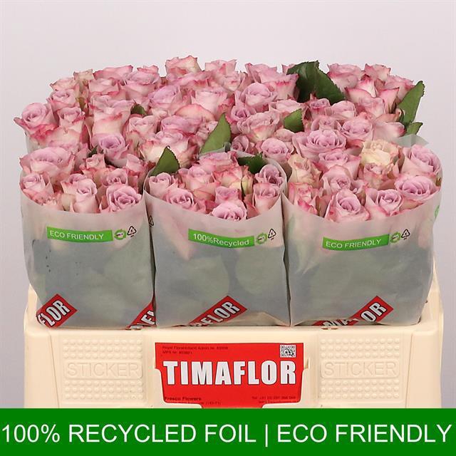 PP Flowers Webshop