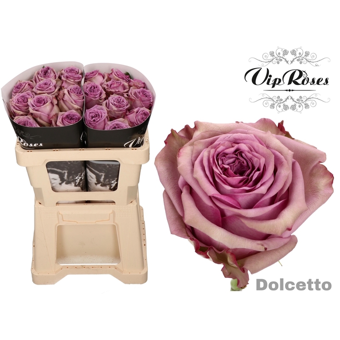 Vip Roses Webshop