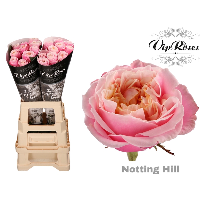 Vip Roses Webshop