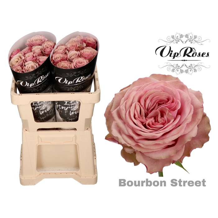 Vip Roses Webshop