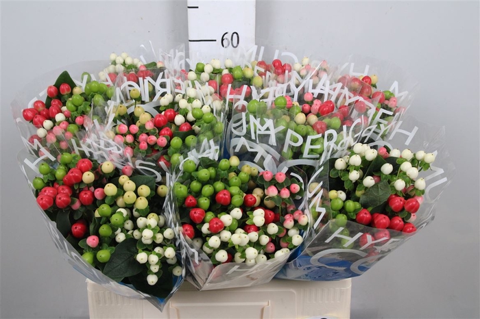 A&Z Flowers Webshop