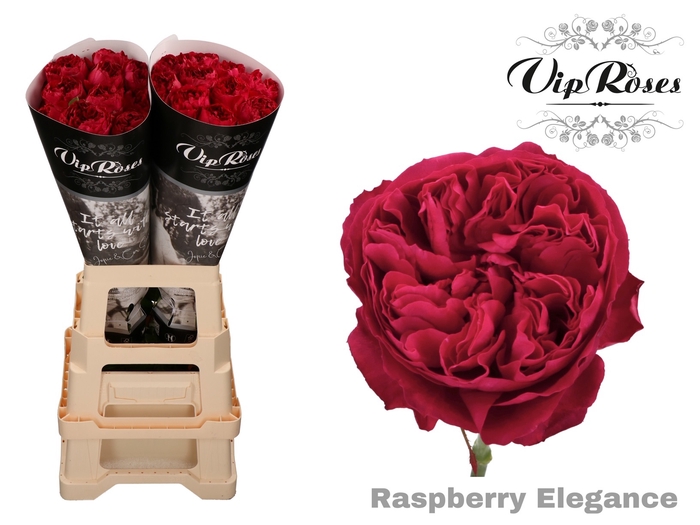 Vip Roses Webshop