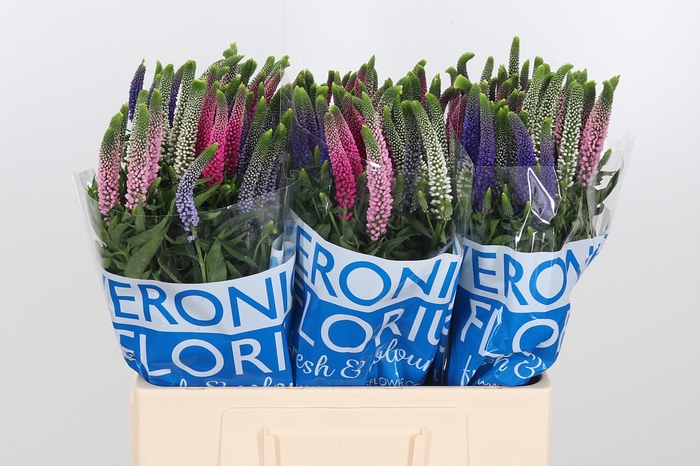 A&Z Flowers Webshop
