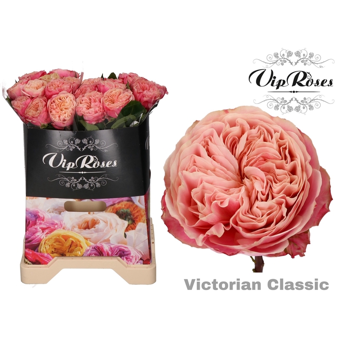 Vip Roses Webshop