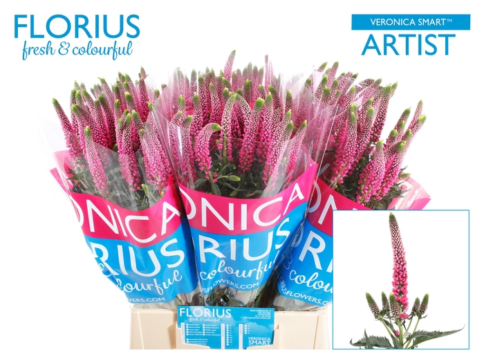 PP Flowers Webshop