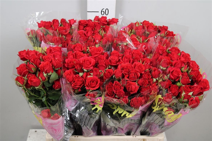 A&Z Flowers Webshop