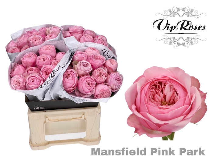Vip Roses Webshop