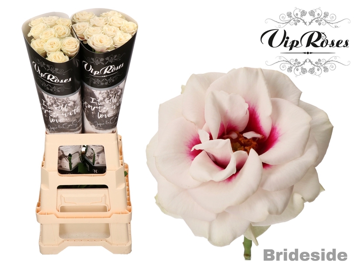 Vip Roses Webshop
