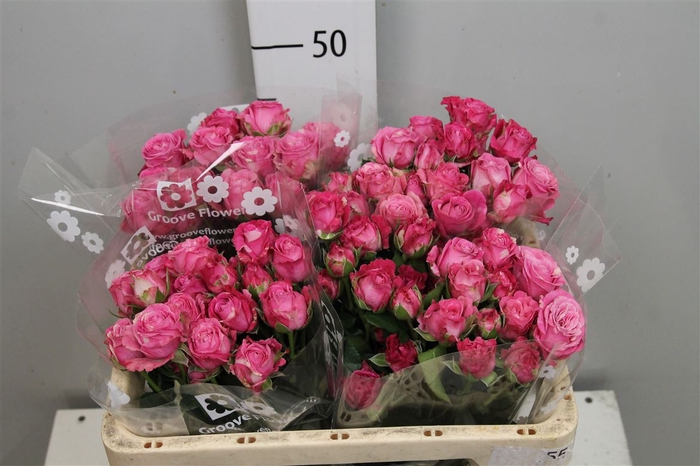 A&Z Flowers Webshop