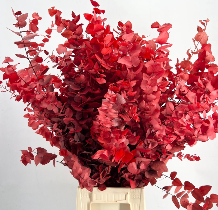 A&Z Flowers Webshop