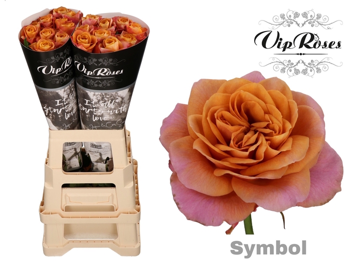 Vip Roses Webshop