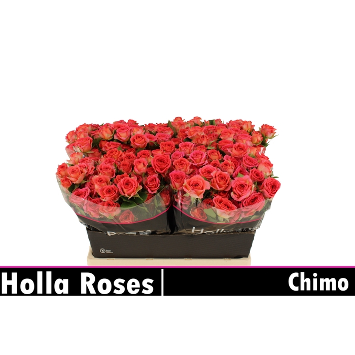 Holla Roses Webshop