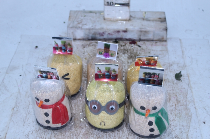 Holambelo - Loja Gran Flora