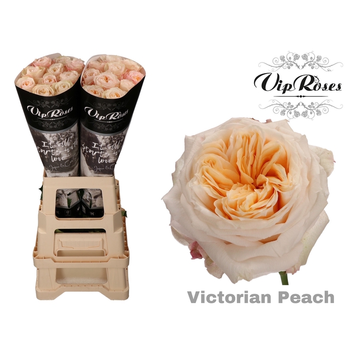 Vip Roses Webshop