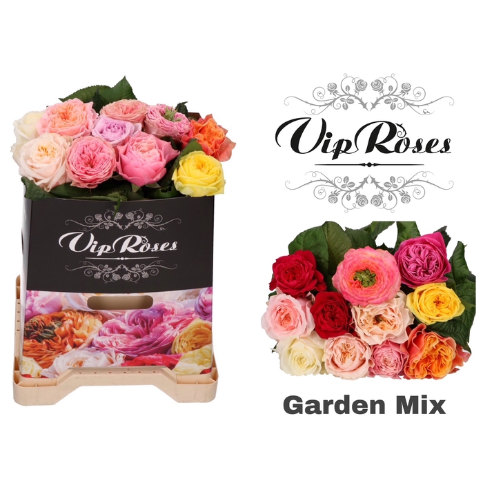Vip Roses Webshop