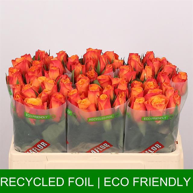 A&Z Flowers Webshop
