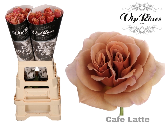 Vip Roses Webshop