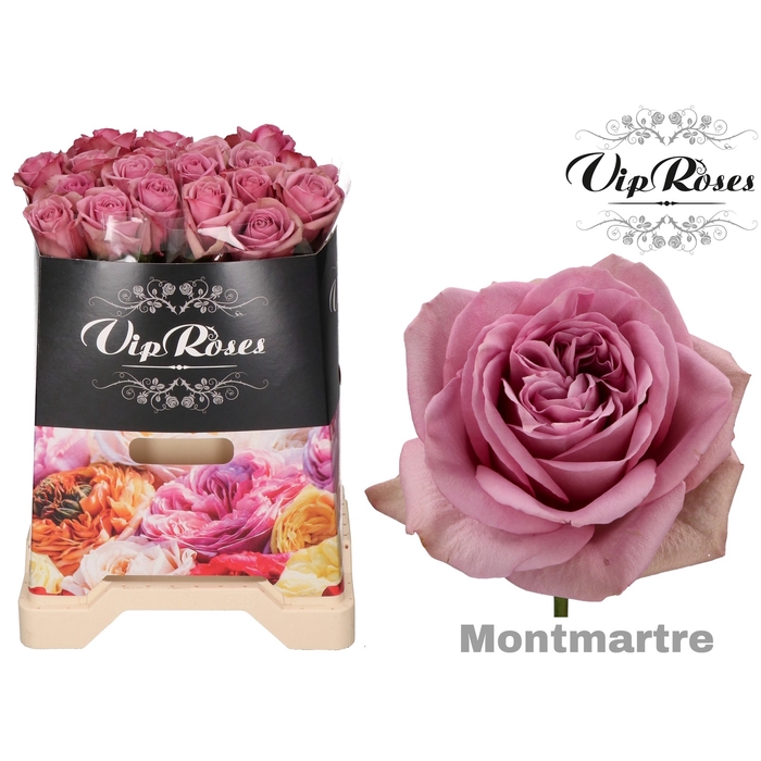 Vip Roses Webshop