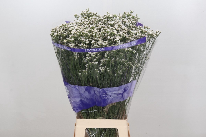 A&Z Flowers Webshop