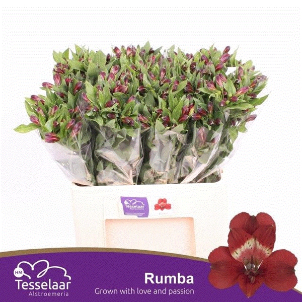 PP Flowers Webshop