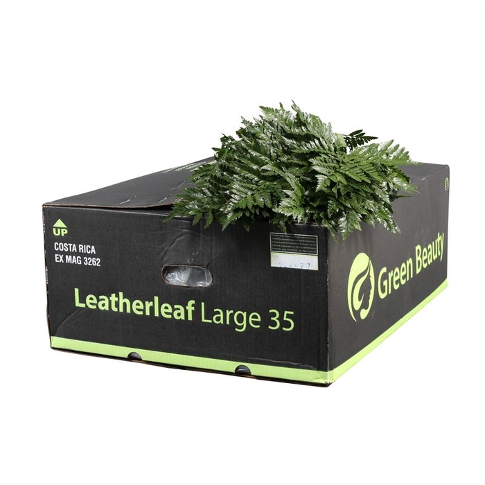 Skowasch Blumengroßhandel Webshop