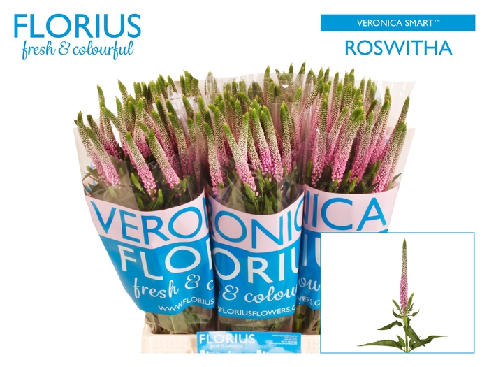 PP Flowers Webshop