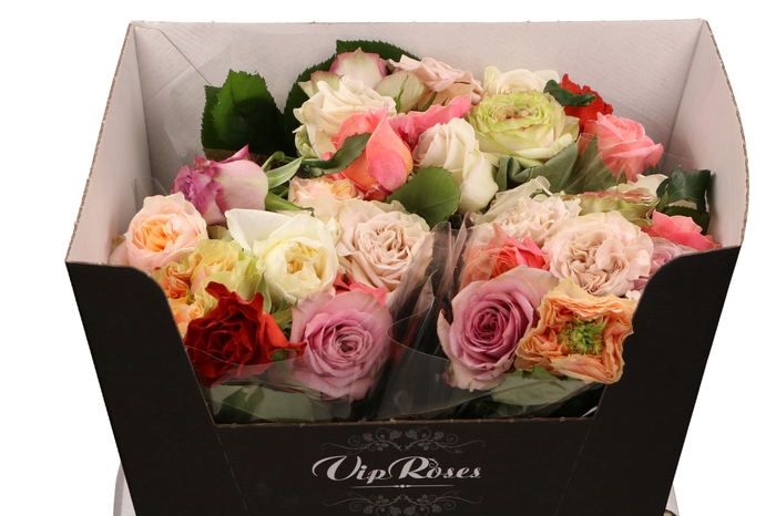 Vip Roses Webshop