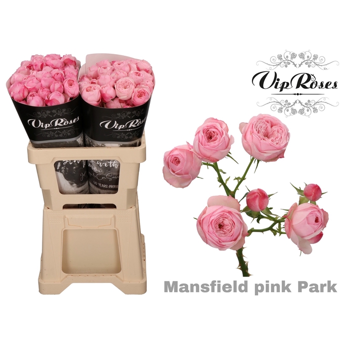 Vip Roses Webshop