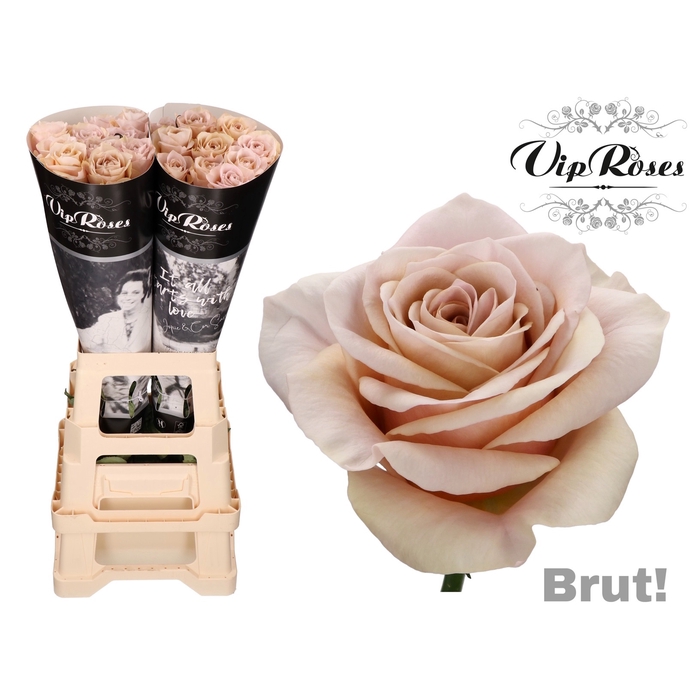 Vip Roses Webshop