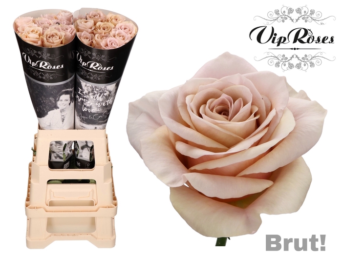 Vip Roses Webshop