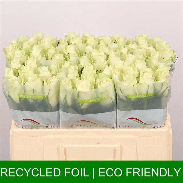 Les fleurs de Deborah