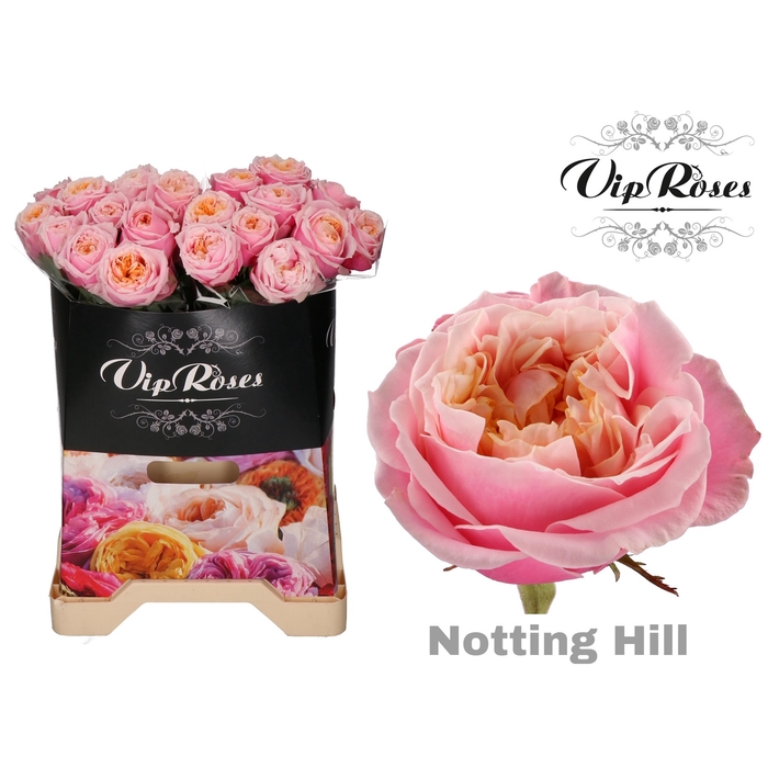 Vip Roses Webshop