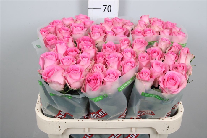 A&Z Flowers Webshop