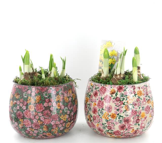 DPC Aalsmeer Webshop