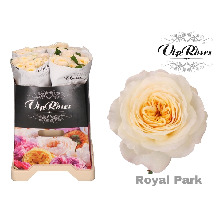 Vip Roses Webshop