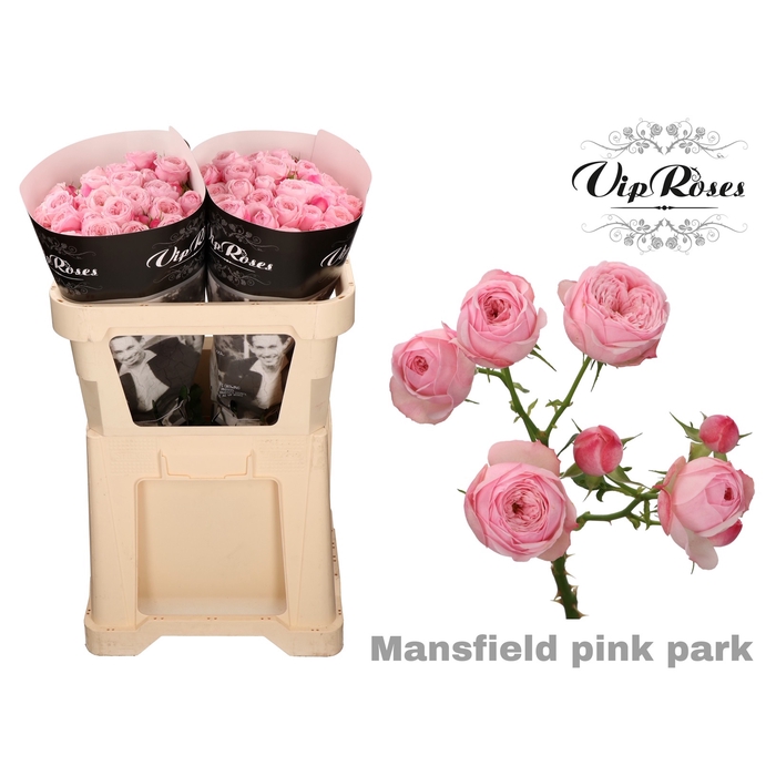 Vip Roses Webshop