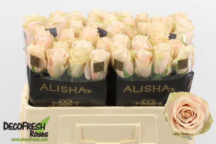 A&Z Flowers Webshop