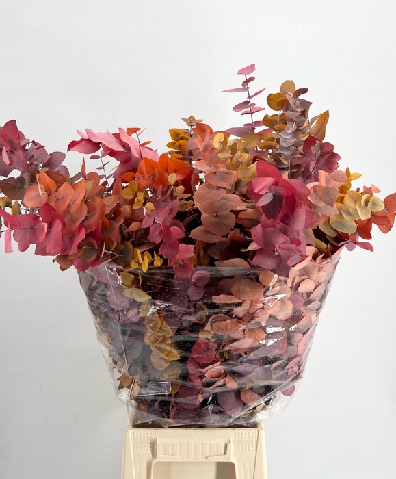 A&Z Flowers Webshop