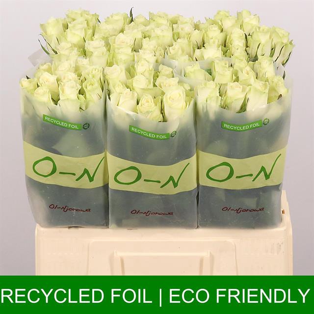 Les fleurs de Deborah