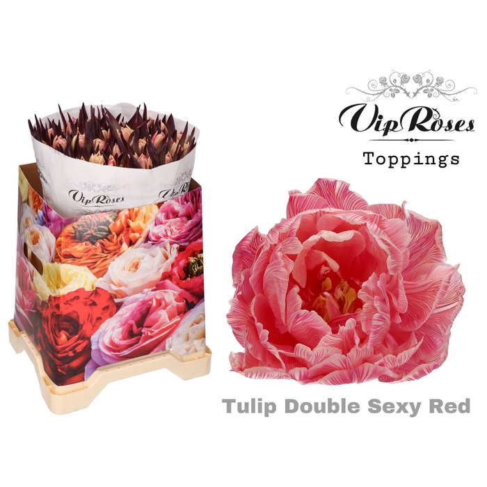 Vip Roses Webshop