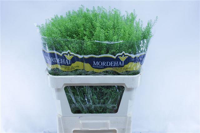 Harry van Hunen Webshop