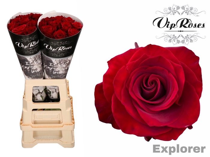 Vip Roses Webshop