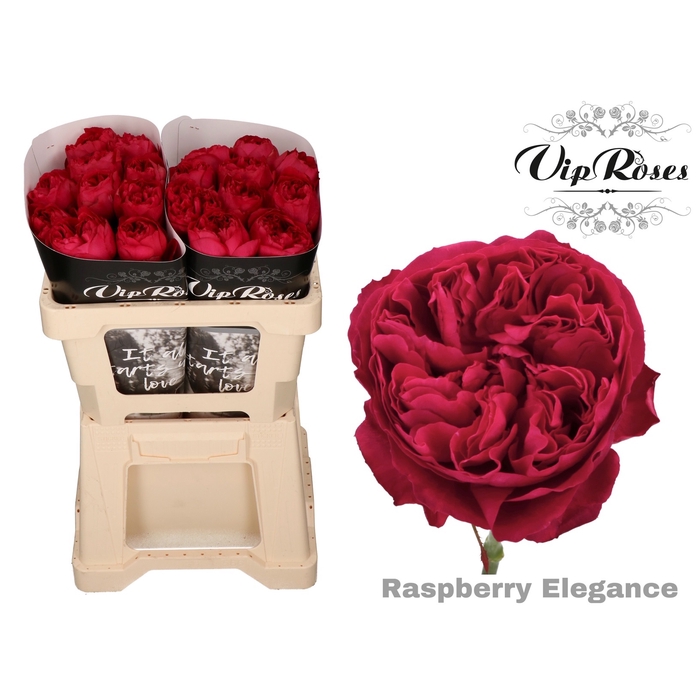 Vip Roses Webshop