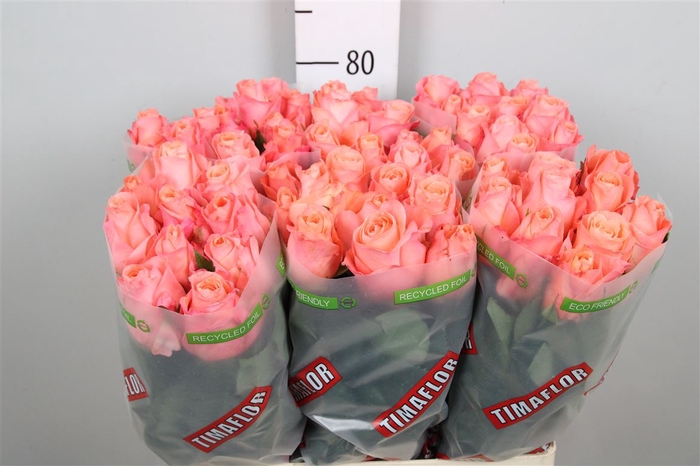A&Z Flowers Webshop
